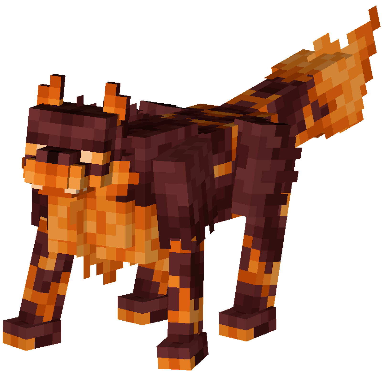 Celebrating 11 Years Together – Lifeboat Network